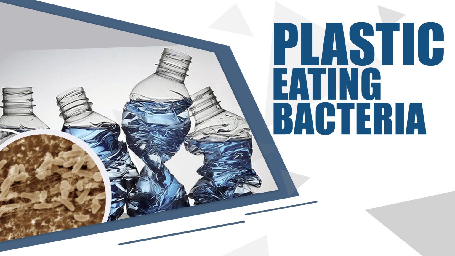 PLASTIC EATING BACTERIA